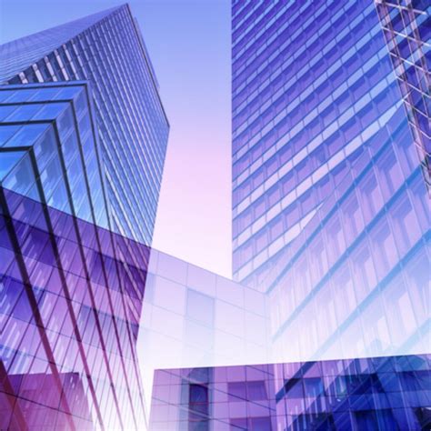 Lily Ray Author At Amsive