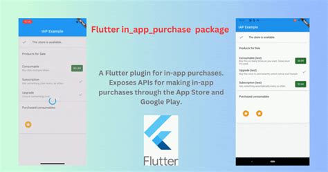 What Is Flutter In App Purchase Package On Pubdev And How To Use It