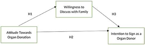 Conceptual Framework Download Scientific Diagram