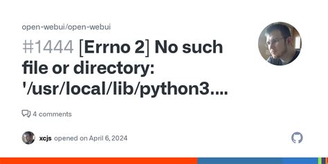 Errno 2 No Such File Or Directory Usrlocallibpython311site