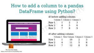 How To Add A Column To A Pandas Dataframe Using Python The Security Buddy