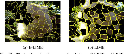 Figure 1 From Explaining Deep Convolutional Neural Networks For Image