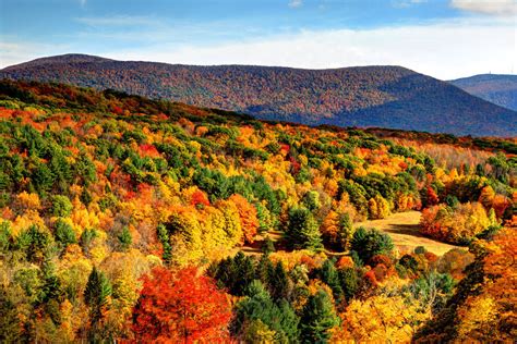 Mohawk Trail State Forest