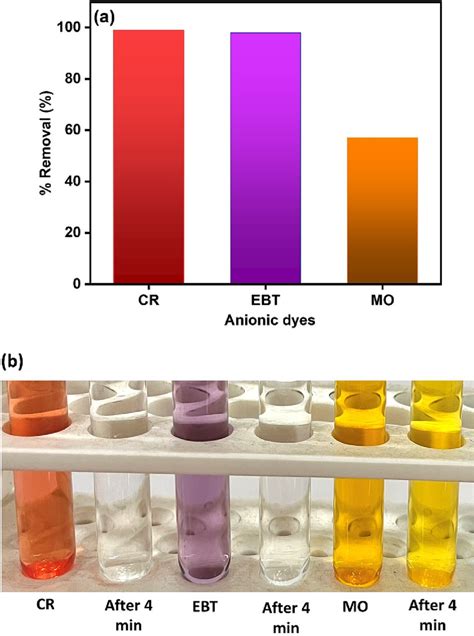 A Plot Of Percentage Removal And B Visual Representation Of Download Scientific Diagram