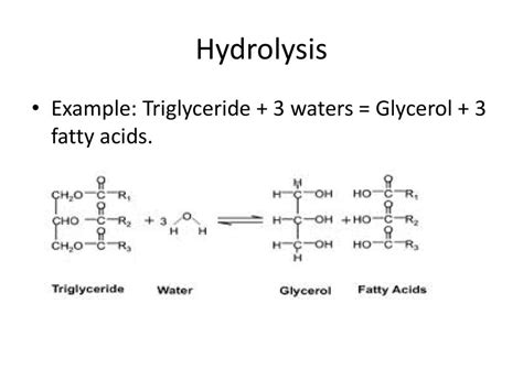Topic 2 Molecular Biology Ppt Download