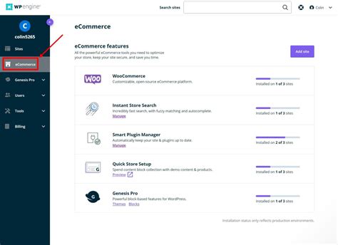 WP Engine WooCommerce Hosting Review How Good Is It