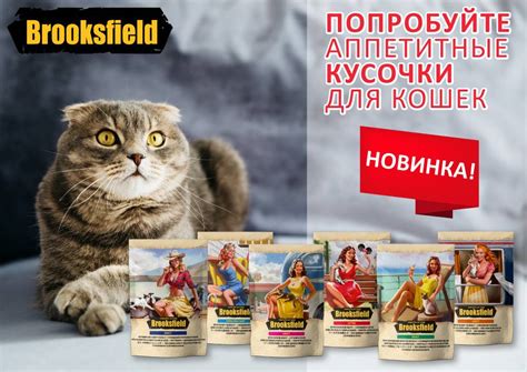 Характеристика кормов для кошки от фирмы Бруксфилд (Brooksfield)