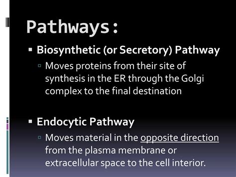Cytoplasmic Membrane Systems Chap8 Pptx