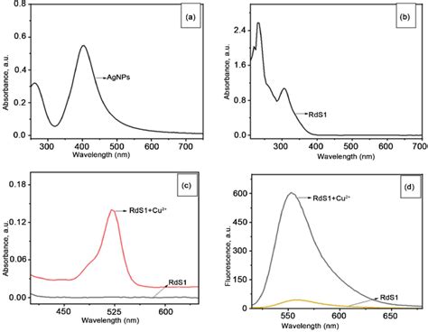A Absorption Spectra Of Silver Nanoparticles Agnps B Uvvis