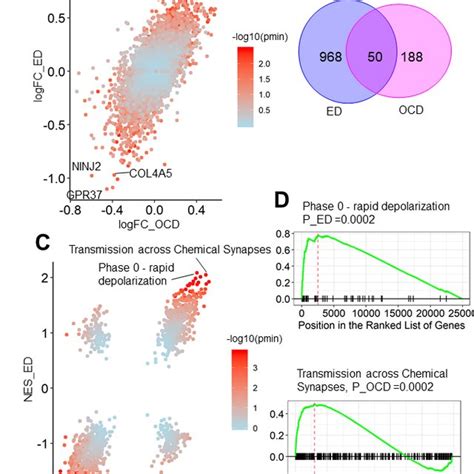 expression alterations of the prefrontal cortex of ed and ocd patients