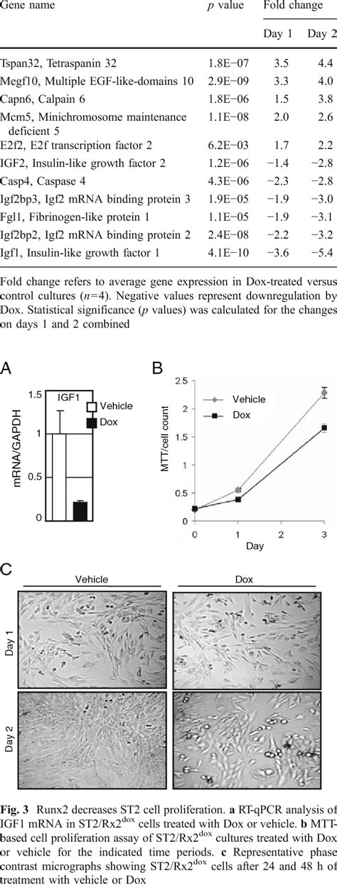 Runx Responsive Genes Related To Osteoblast Proliferation Download Table