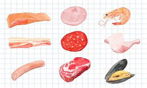 손으로 그린 고기 제품 수채화 스타일 무료 벡터