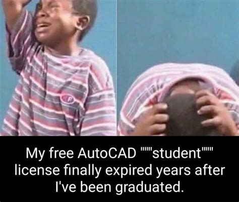 My Free AutoCAD Babe License Finally Expired Years After I Ve Been Graduated IFunny