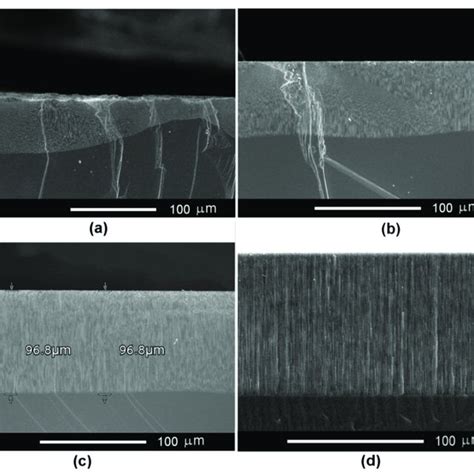 Sem Cross Sectional View Of A Porous Template Prepared On Inp W Tion Of