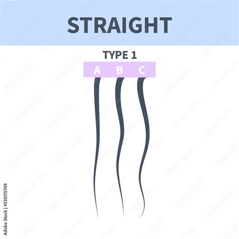 Straight Hair Type Classification System Set Detailed Human Hair Growth Style Chart Health