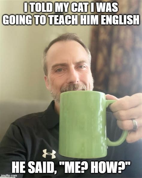 Dad Cat Jokes Imgflip