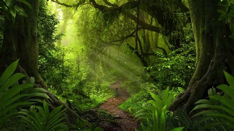 명상음악 우와 진짜 놀랍다 하루10분 만병을 치료 해주는 힐링 명상 기치료 음악 및 영상 스트레스 해소 음악 긴장이완음악 편안한 음악 치유음악