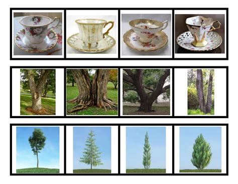Describing Objects With Asl Classifiers By A View Into My Classroom