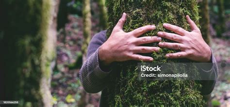 자연에 대한 사랑 개념 남자와 함께 숲 숲에서 녹색 사향 줄기 나무를 결합 포옹 환경 및 보호 연인 행성 혼자서 야외 레저 활동을 하는 사람들 나무를 품어주다 개념에 대한