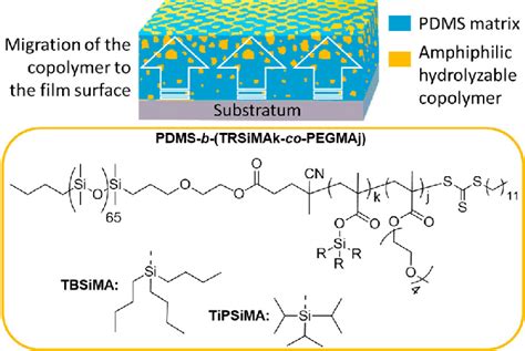 Pdms Based Coatings Containing Amphiphilic Hydrolyzable Diblock Download Scientific Diagram