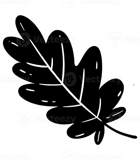 Hand Drawn Black Line Leaf Isolated On Png Background For Thanksgiving