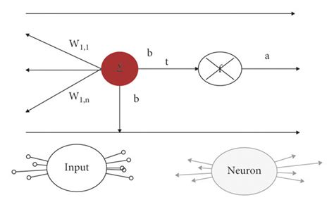 Neuron Model With R Dimensional Input Download Scientific Diagram