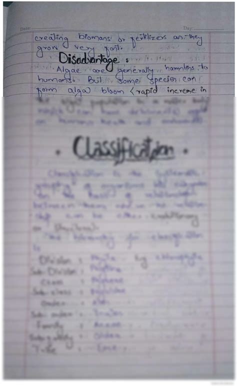 Solution Classification Of Algae Studypool