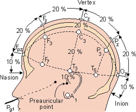 Localization Of Eeg Electrodes 7 F Frontal Fp Polar Front A
