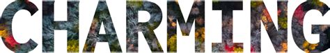 How To Add Text To Images In Python Via PIL Library HolyPython Com