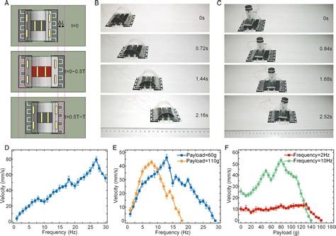 Inchworm‐like Soft Robot With Multimodal Locomotion Using An Acrylic Stick‐constrained