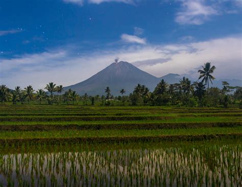 50000 Foto Artis Indonesia Terbaik · Unduh Gratis 100 · Foto Stok Pexels
