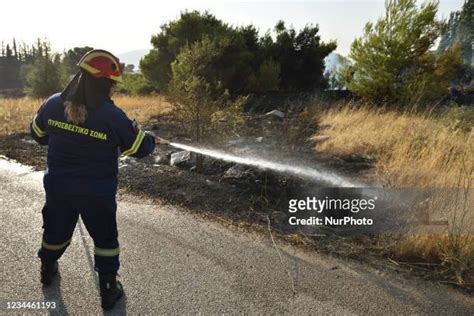 Sparys Photos And Premium High Res Pictures Getty Images