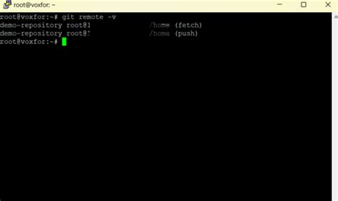 How To Remove Remote Origin From A Git Repository In Linux