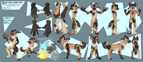 Rule 34 2023 Absurd Res African Wild Dog Animal Genitalia Animal