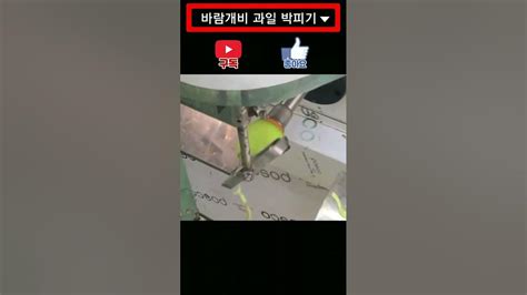 키위 예쁘게 깎는법 Fruitpeeler Kiwi Kiwipeeler 과일박피기 키위 Youtube