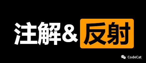 java 动态添加注解 注解和反射 源码巴士