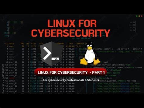 what is linux the ultimate platform for cybersecurity professionals