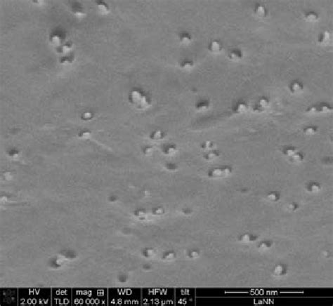 FE SEM Image Of A NEE After Etching With CH Cl C H OH For Download Scientific