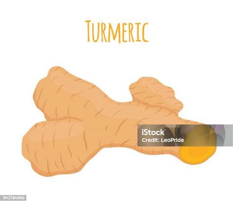 심 황 뿌리 유기 향미료 조각입니다 허브 음식입니다 벡터 일러스트 레이 션 0명에 대한 스톡 벡터 아트 및 기타 이미지 0명