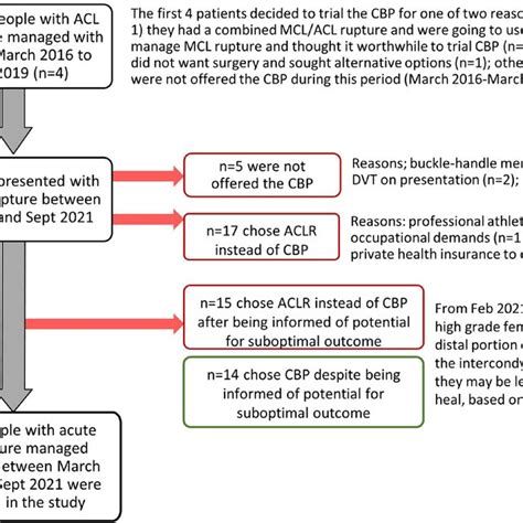 Participant Flow Chart Acl Anterior Cruciate Ligament Aclr Anterior