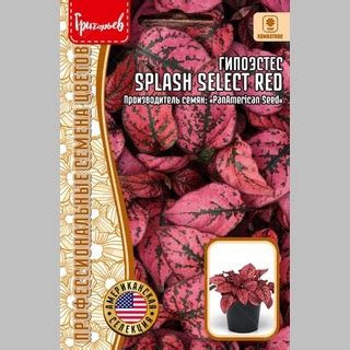 Купить семена Гипоэстес Splash Select Red 4шт.PanAmerican ип Григорьев ...