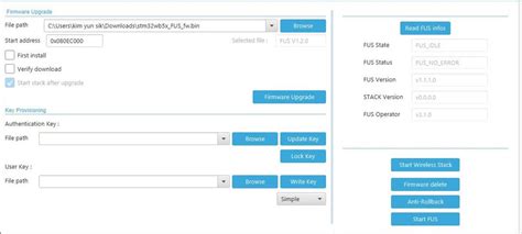 could not update fus at stm32wb55cg chip in my cus