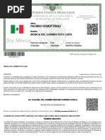 Plantilla Ine Editable Pdf Póster