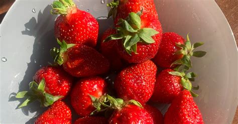 실내 건강한 간식 건강한 식생활 과일 과즙이 많은 농업 농작물 달콤한 뒤뜰 디저트 딸기 맛있는 먹음직스러운 목조 테이블 미니멀리스트 베리류