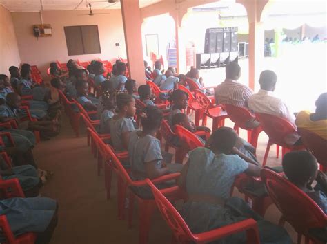 New Nation Internation School