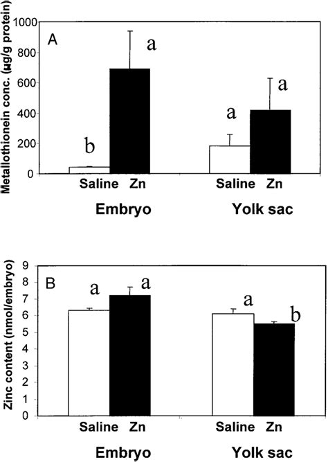 Metallothionein Mt Concentrations Panel A And Zn Contents Panel B
