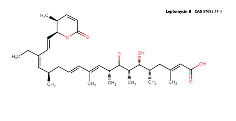 Leptomycin B Fermentek