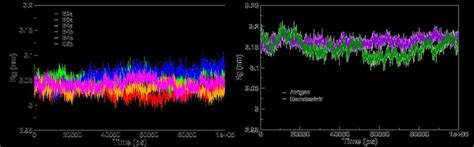 The Radius Of Gyration Rg Vs Simulation Time Plot A Rg Plot Of