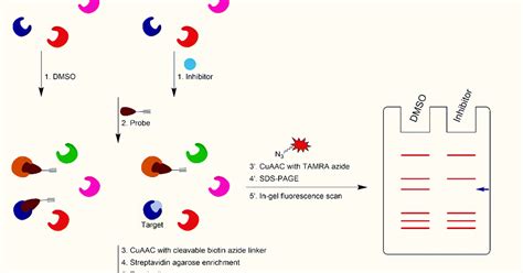 Covalent Modifiers Cysteine Reactive Probes And Their Use In Chemical