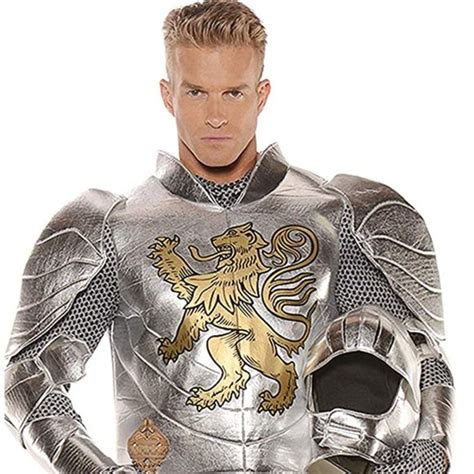 Knight In Shining Armour Costume